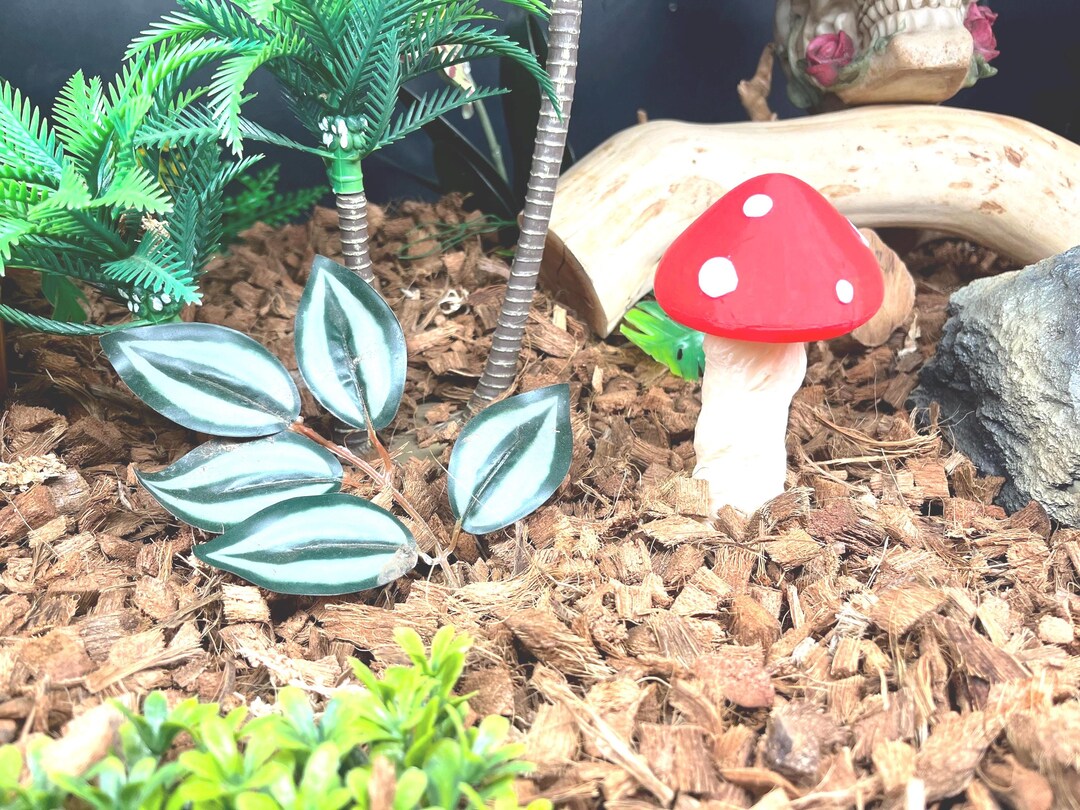 Mushroom Terrarium Reptile Enclosure Décor - Etsy