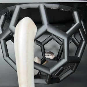 Python Playground Small Snake Climbing Enrichment - Etsy