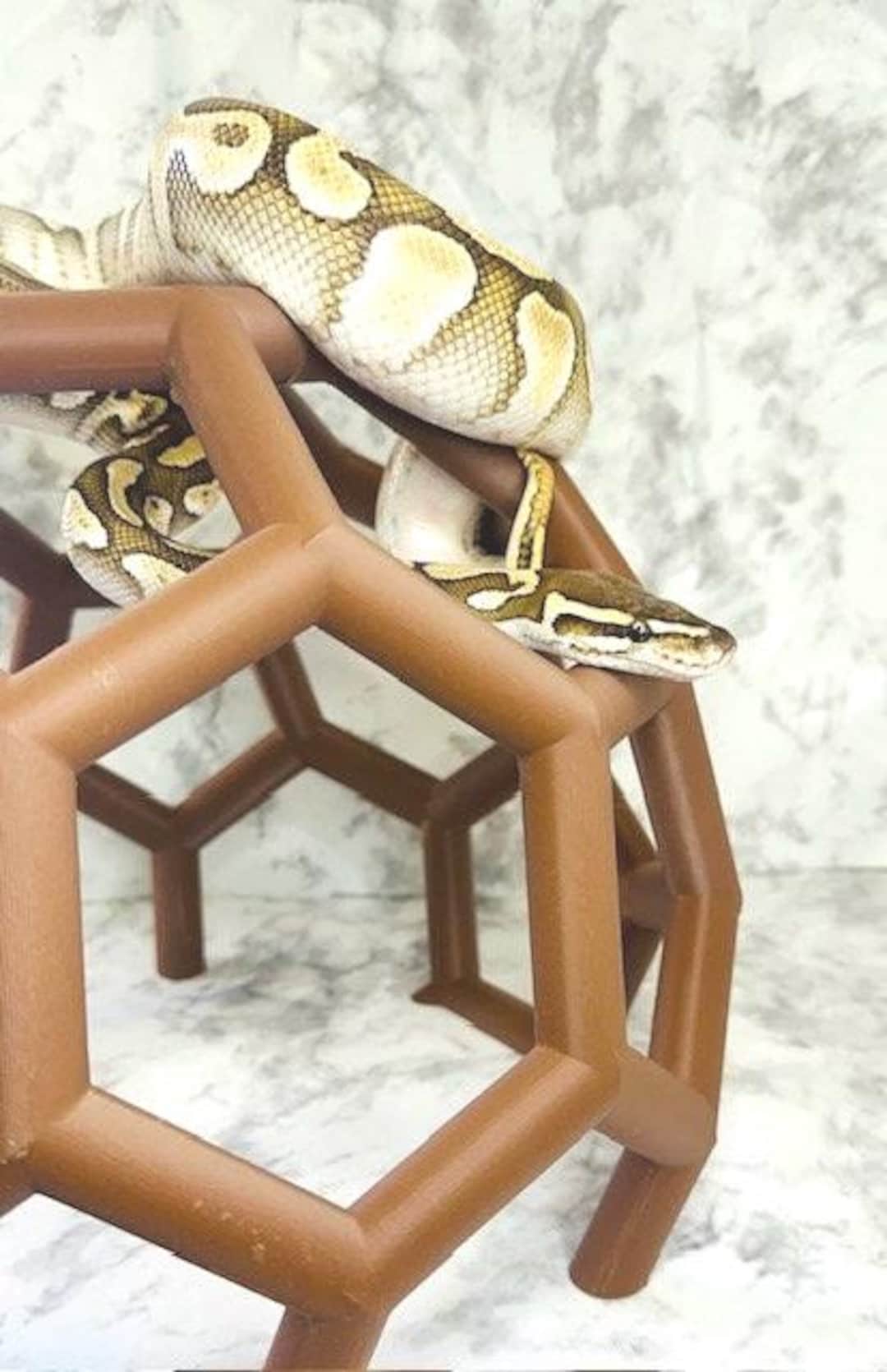 Python Playground EPIC Snake Climbing Enrichment, Adult Ball Python ...