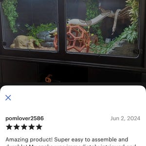 Python Playground EPIC Snake Climbing Enrichment, Adult Ball Python ...