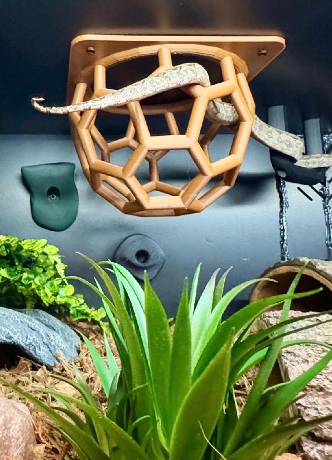 Python Playground Small Snake Climbing Enrichment - Etsy
