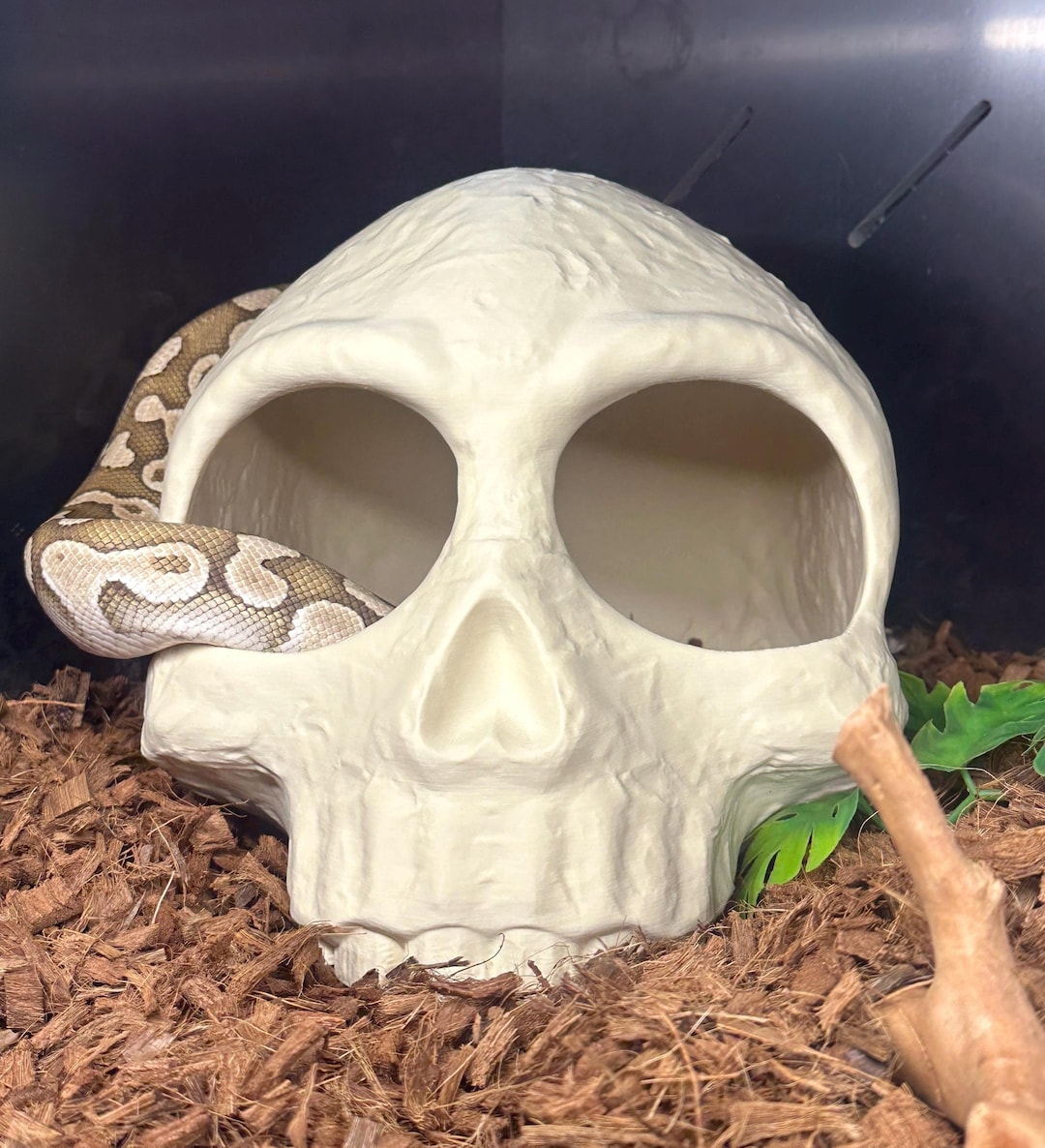 Skull Reptile Hide L Snake Hide, Snake Enrichment, Reptile Enrichment ...