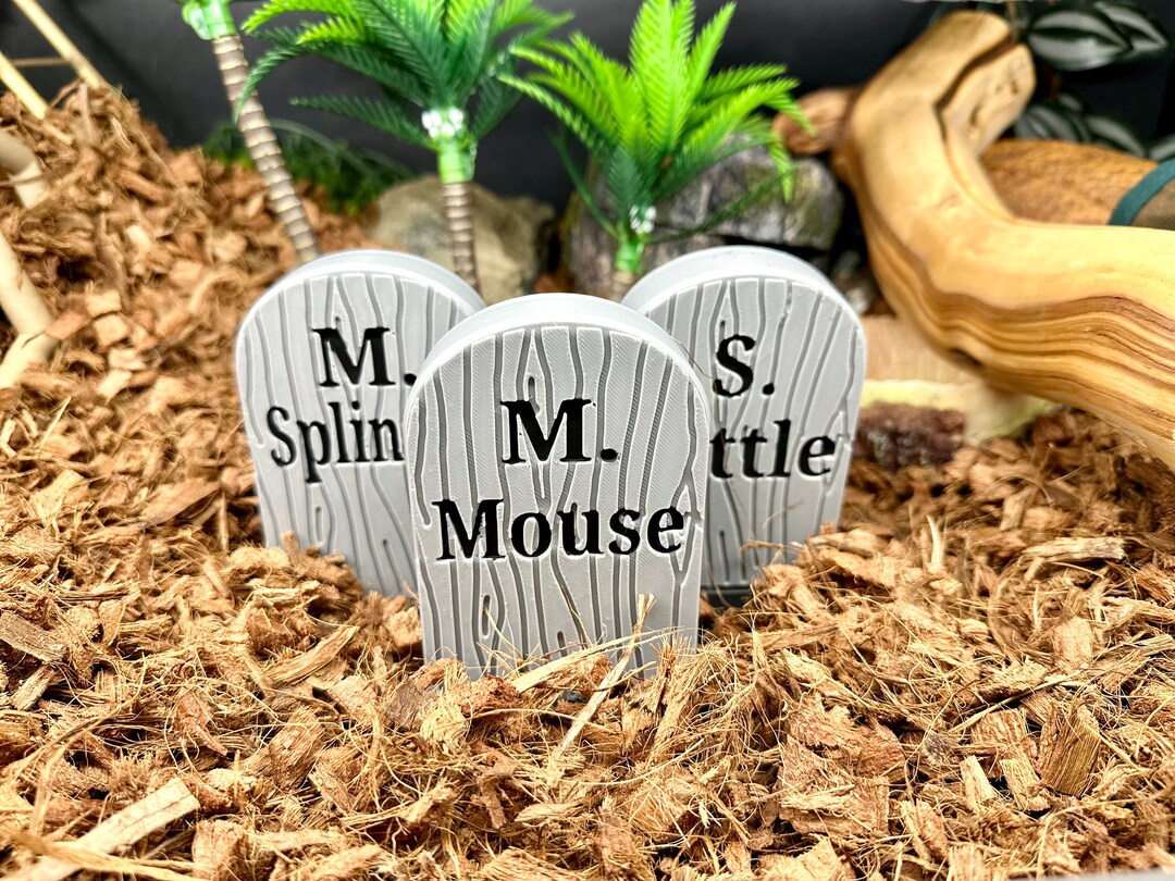 Snake Enclosure Graves - Etsy