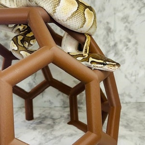 Ball Python - Etsy