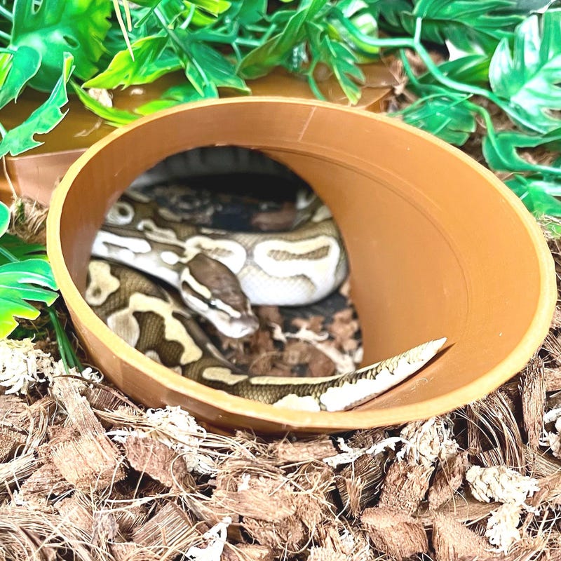 Burrow Reptile Hides - Etsy