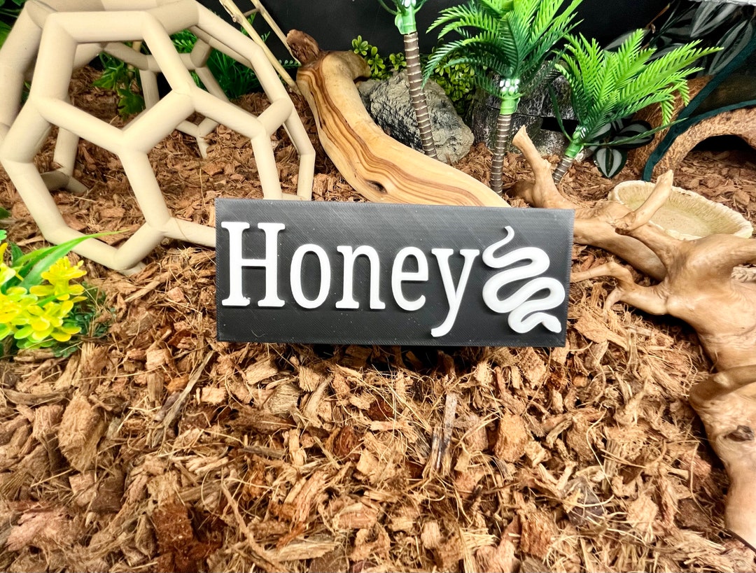 Custom Pet Snake Name Plate For: Ball Python, Corn Snake, Rosy Boa ...