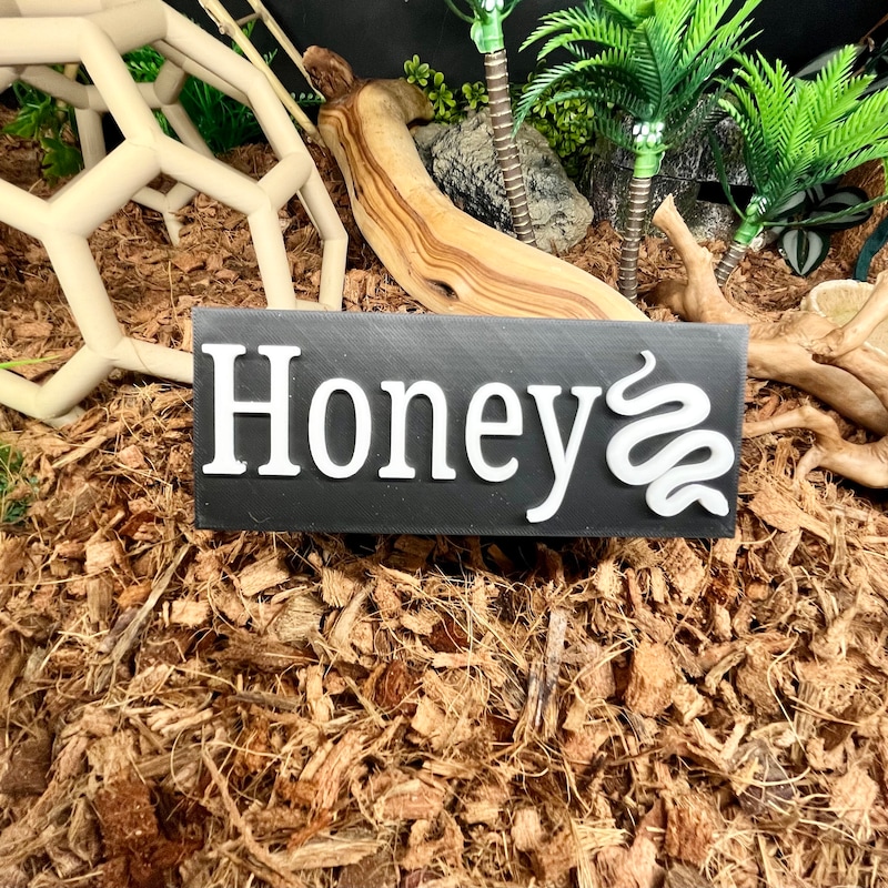 Names for Snakes Python - Etsy