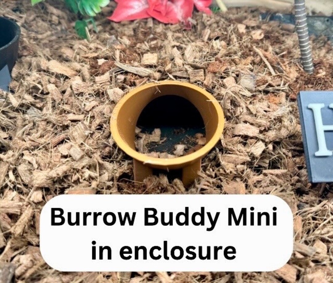 Burrow Buddy Snake Hide MINI - Etsy