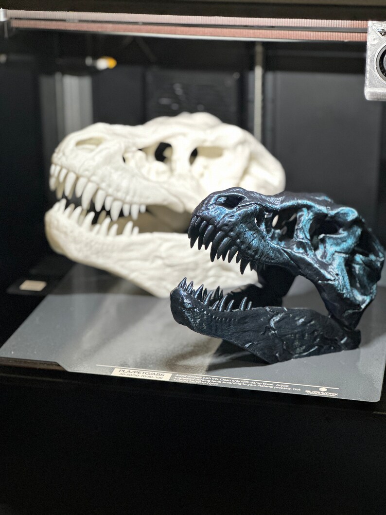 Intricate 3D Printed T-rex Skull Replica, Perfect for Display ...