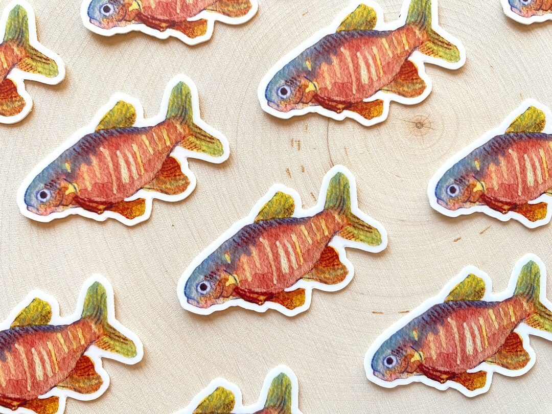 Rick the Rainbow Fish Die-cut Sticker | Fish and Wildlife Sticker - Etsy