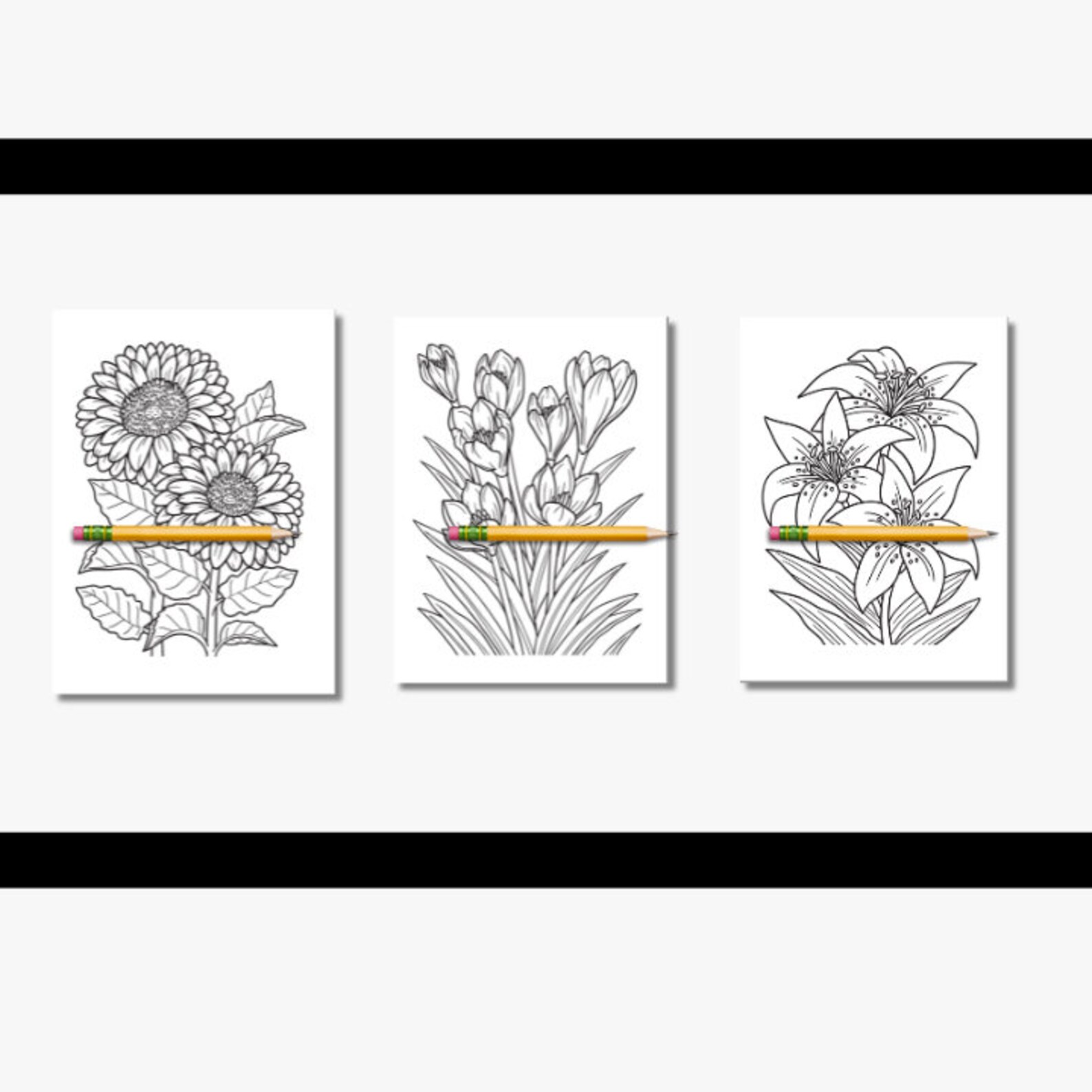 Coloring Pages: Adult Coloring Book Coloring Sheets Full Set, Adult ...