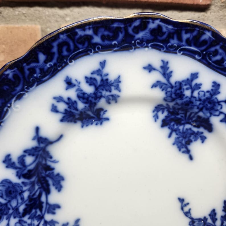 Touraine Stanley Pottery Co England Flow Blue Dinnerware - Etsy