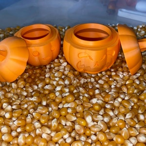 Autumn Harvest Sensory Bin - Montessori Fall Play Kit for Kids ...