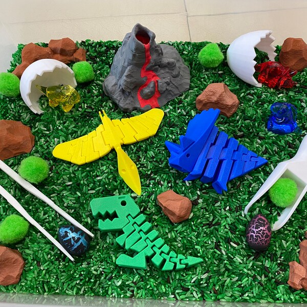 Montessori Dinosaur - Etsy