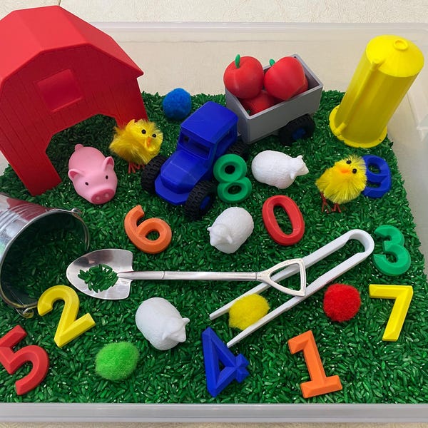 Sensory Bin With Cards - Etsy