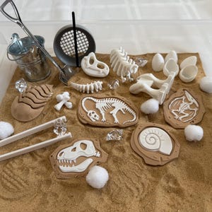 Dinosaur Fossil Dig Sensory Bin - Montessori Excavation Activity Kit ...