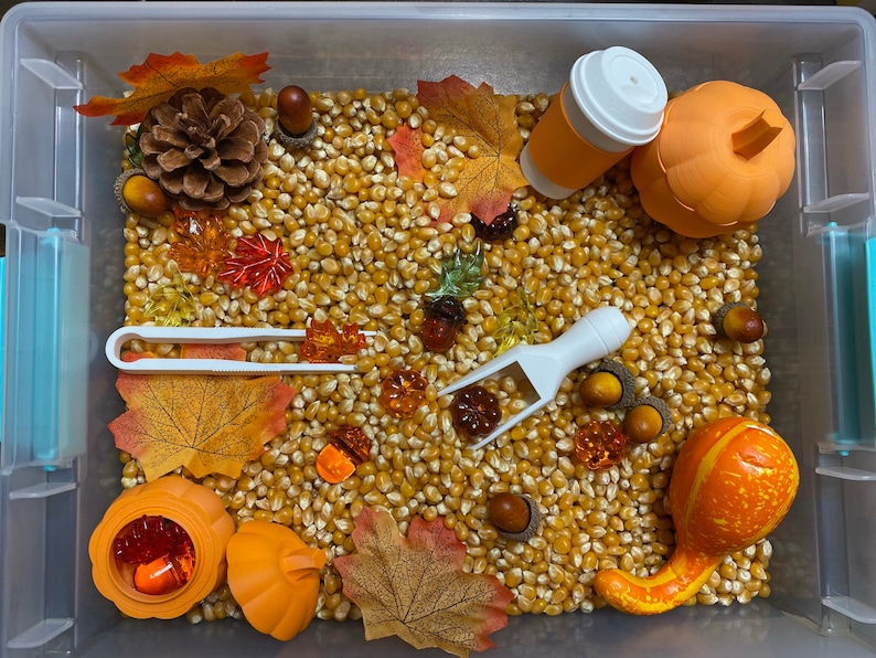 Autumn Harvest Sensory Bin Montessori Fall Play Kit for Kids - Etsy