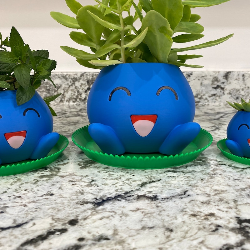 Oddish Succulent Pots - Etsy