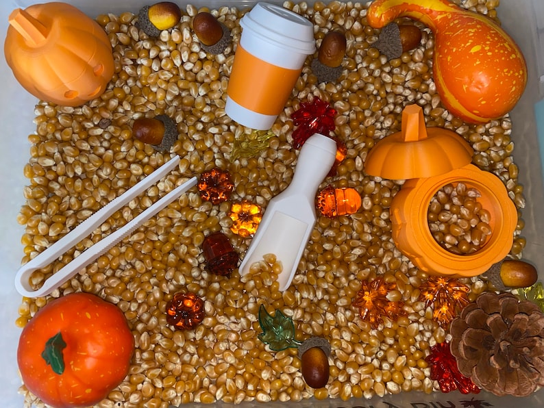 Autumn Harvest Sensory Bin Montessori Fall Play Kit for Kids - Etsy