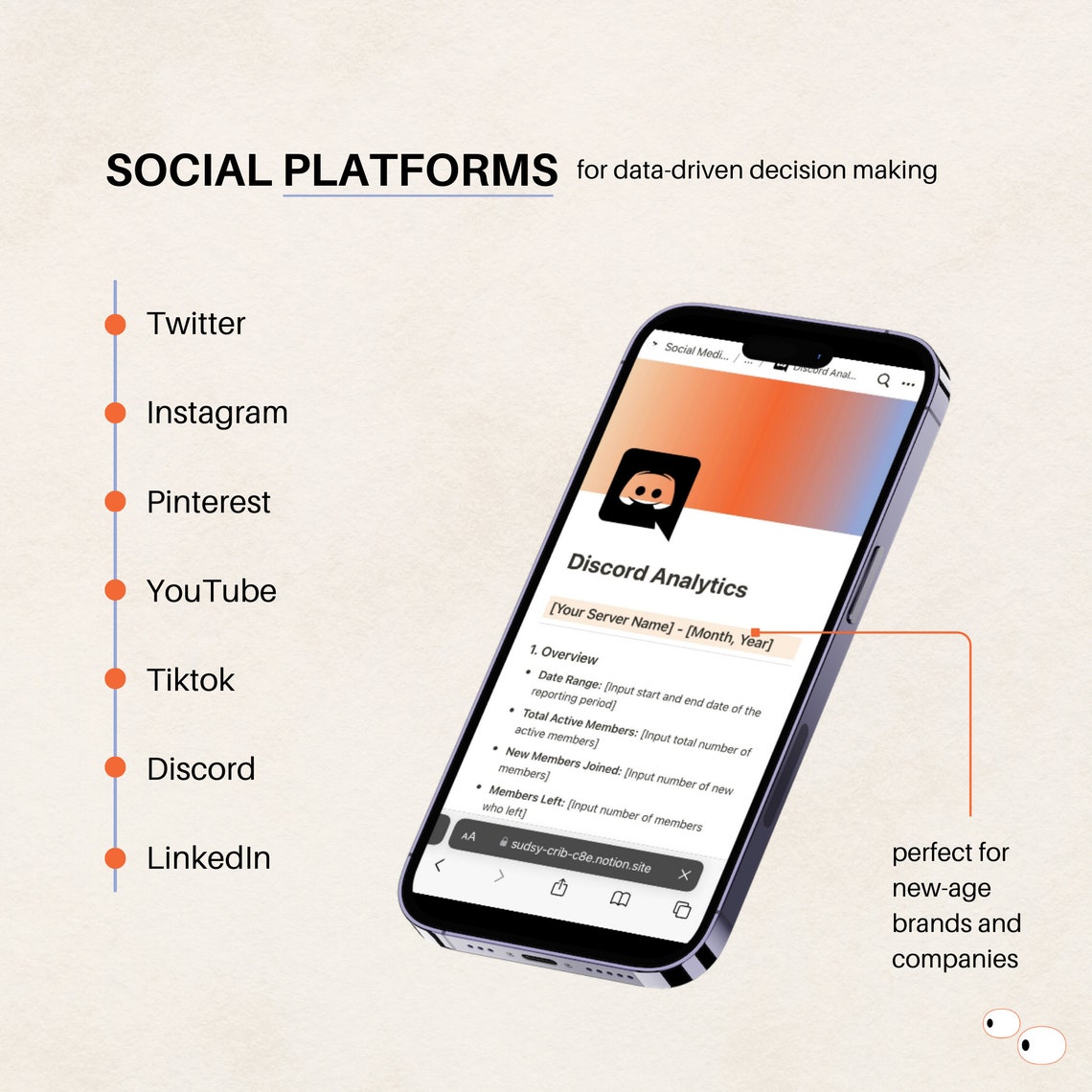 Social Media Analytics Notion Template Analytics Templates Track Return ...