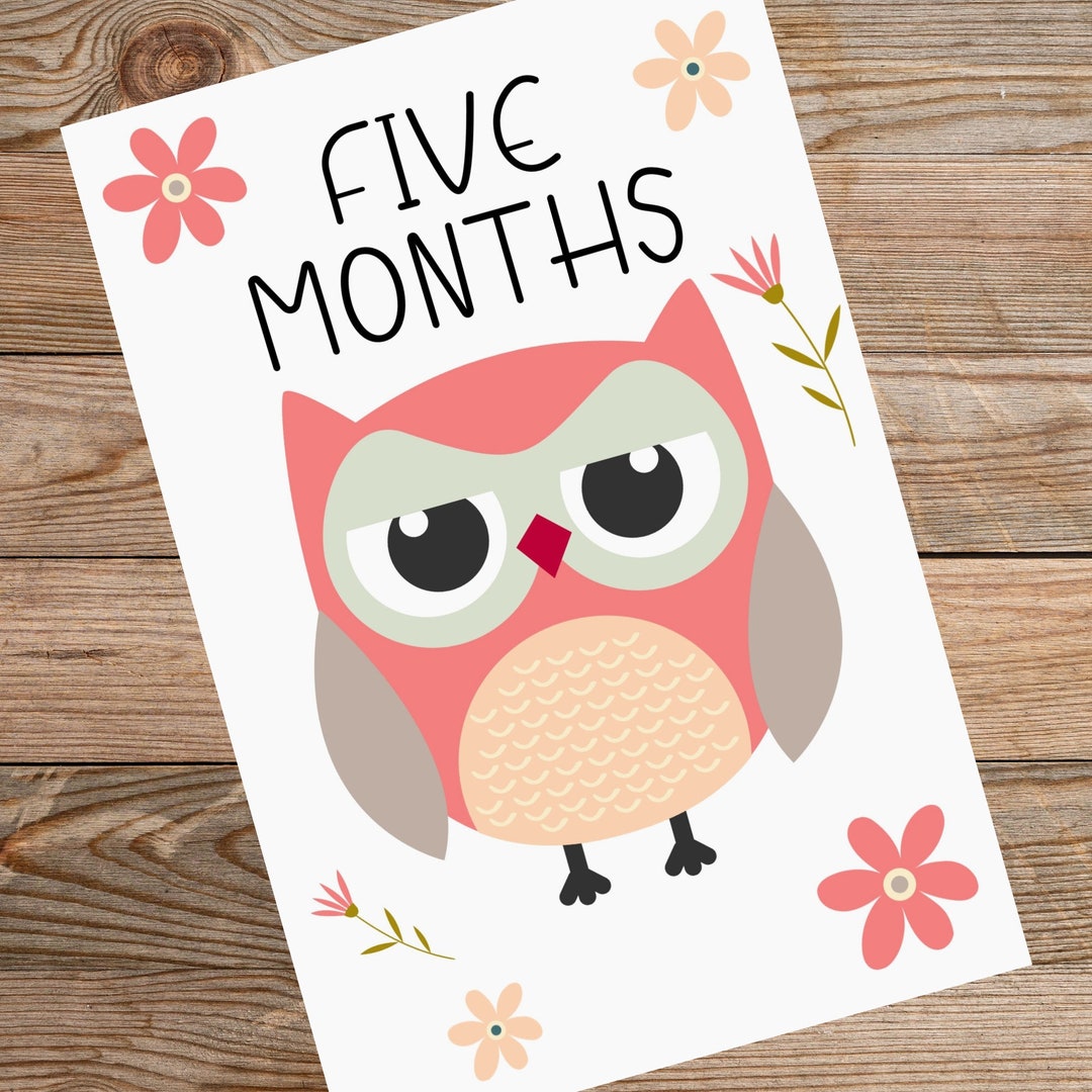 Owl Baby Milestone Cards Printable Monthly Milestone Markers Digital ...