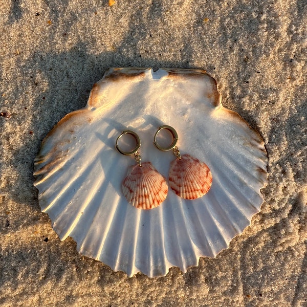 Seashell Earrings - Etsy