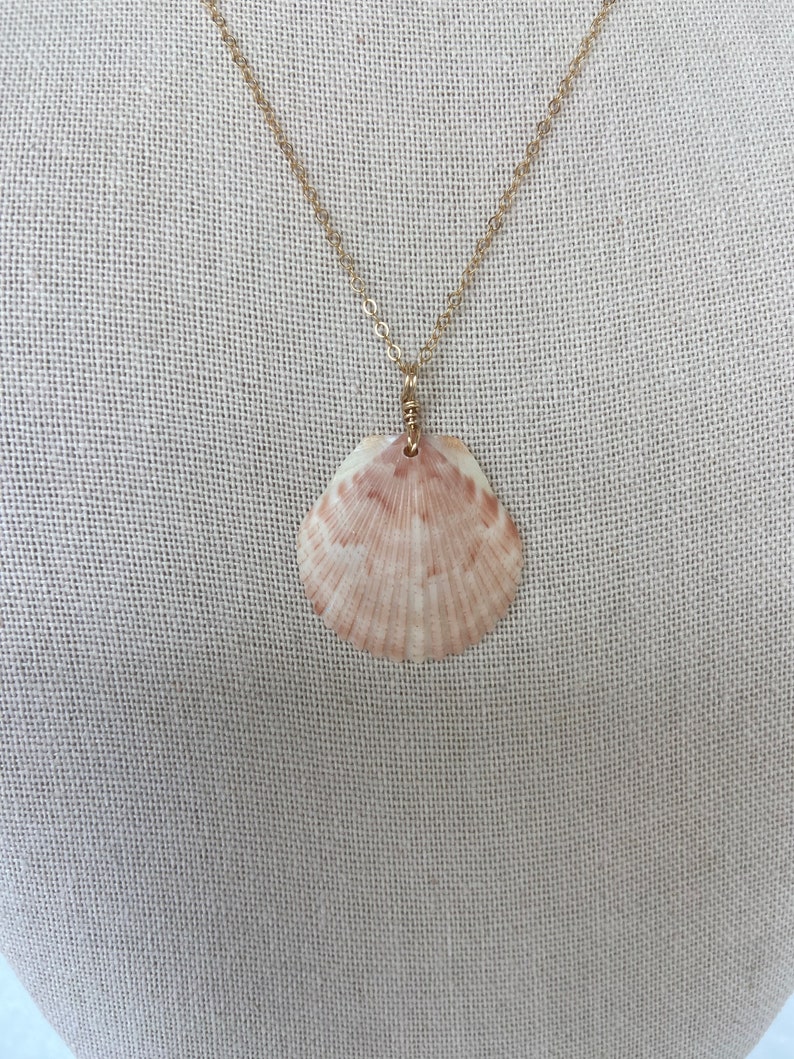 Scallop Necklace 14k Gold-filled Chain - Etsy