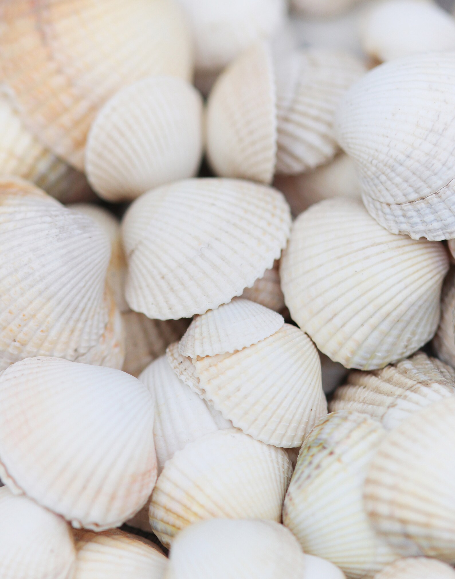 Blue Sea, Beach Hut, Ocean Print, Beach Print, Sea Print, Costal Wave ...