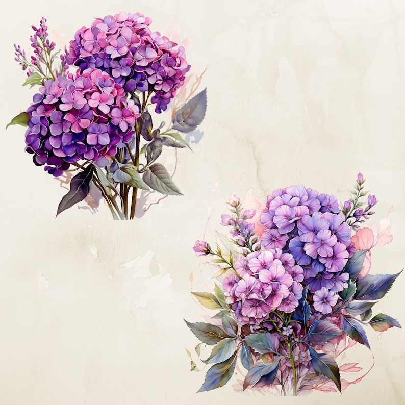 Purple Floral Clipart Floral Watercolor Clipart Violet - Etsy