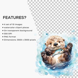 Cute Otter Watercolor Clipart, Cute Baby Otter Graphics, Sea Otter ...