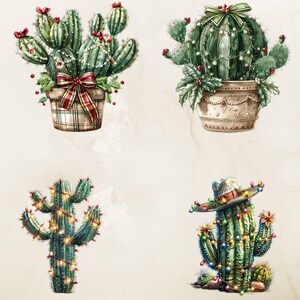 Christmas Cactus Clipart, Christmas Succulents Plants, Christmas Cactus ...