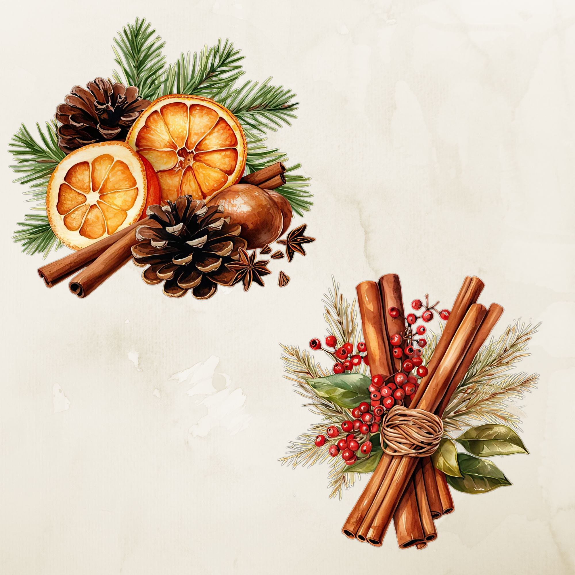 Christmas Potpourri Clipart, Watercolor Christmas Potpourri, Card ...