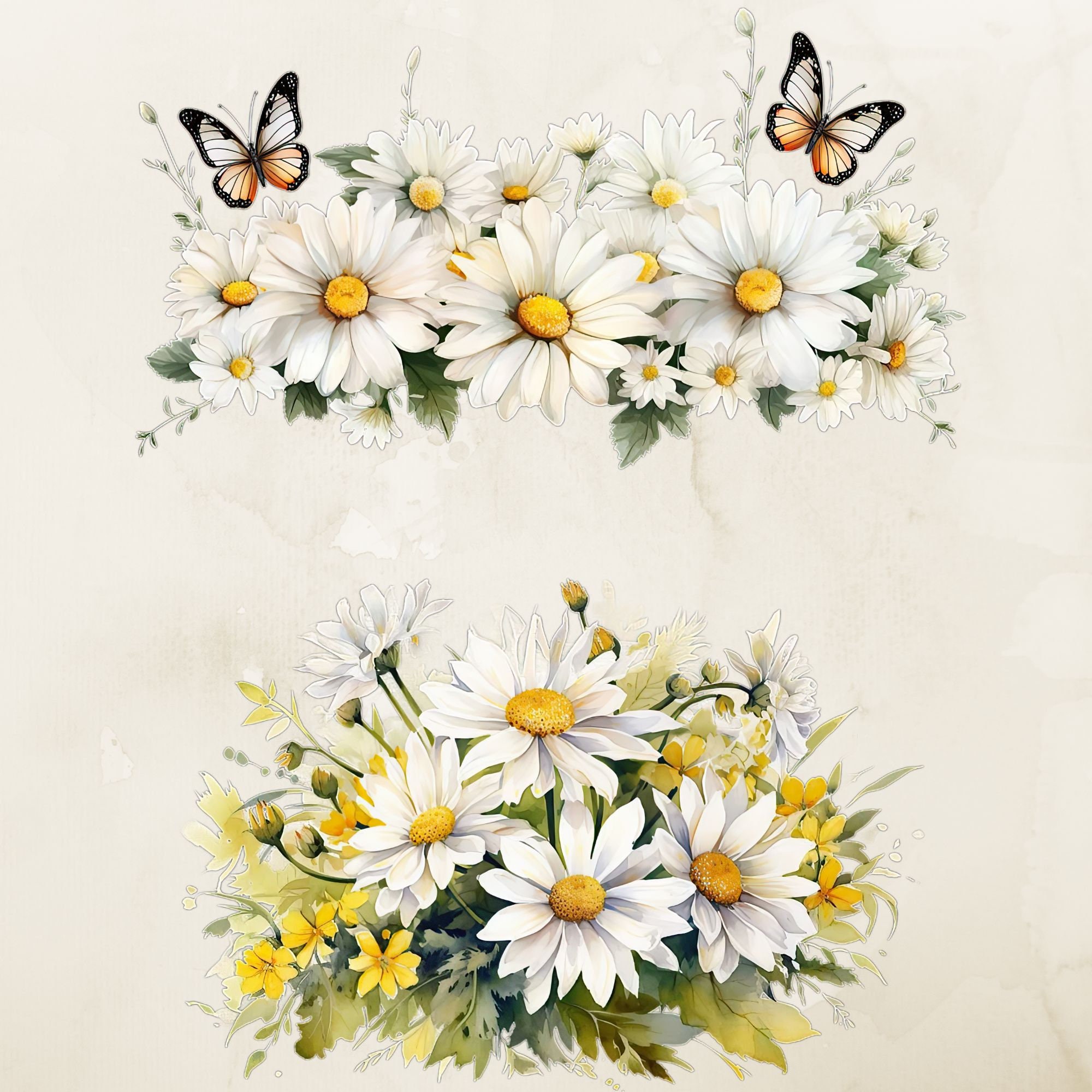 Watercolor Daisy Clipart, Spring Floral PNG (digital Download) - Etsy