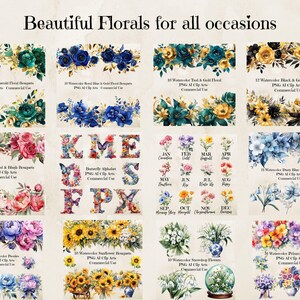 Whole Shop Bundle Clipart, Unlimited Lifetime Access, Mega Clipart ...