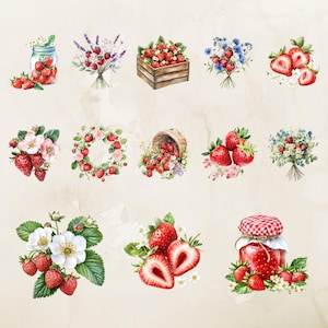 Watercolor Strawberry and Flower Clipart, Floral Elements, Summer ...