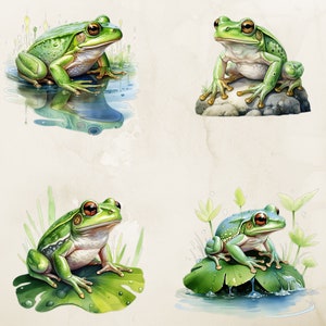 Watercolor Clipart Green Frogs, Cute Frogs, Frog PNG, Frog Png Graphic ...