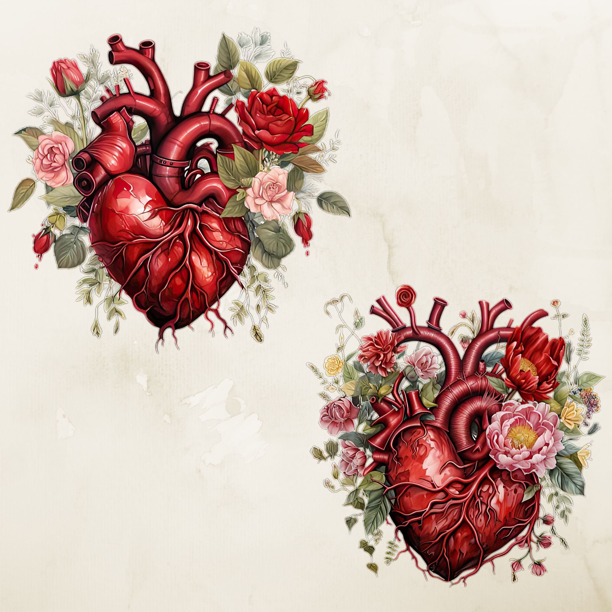 Gothic Floral Heart Clipart, Anatomical Valentine Illustrations, Gothic ...
