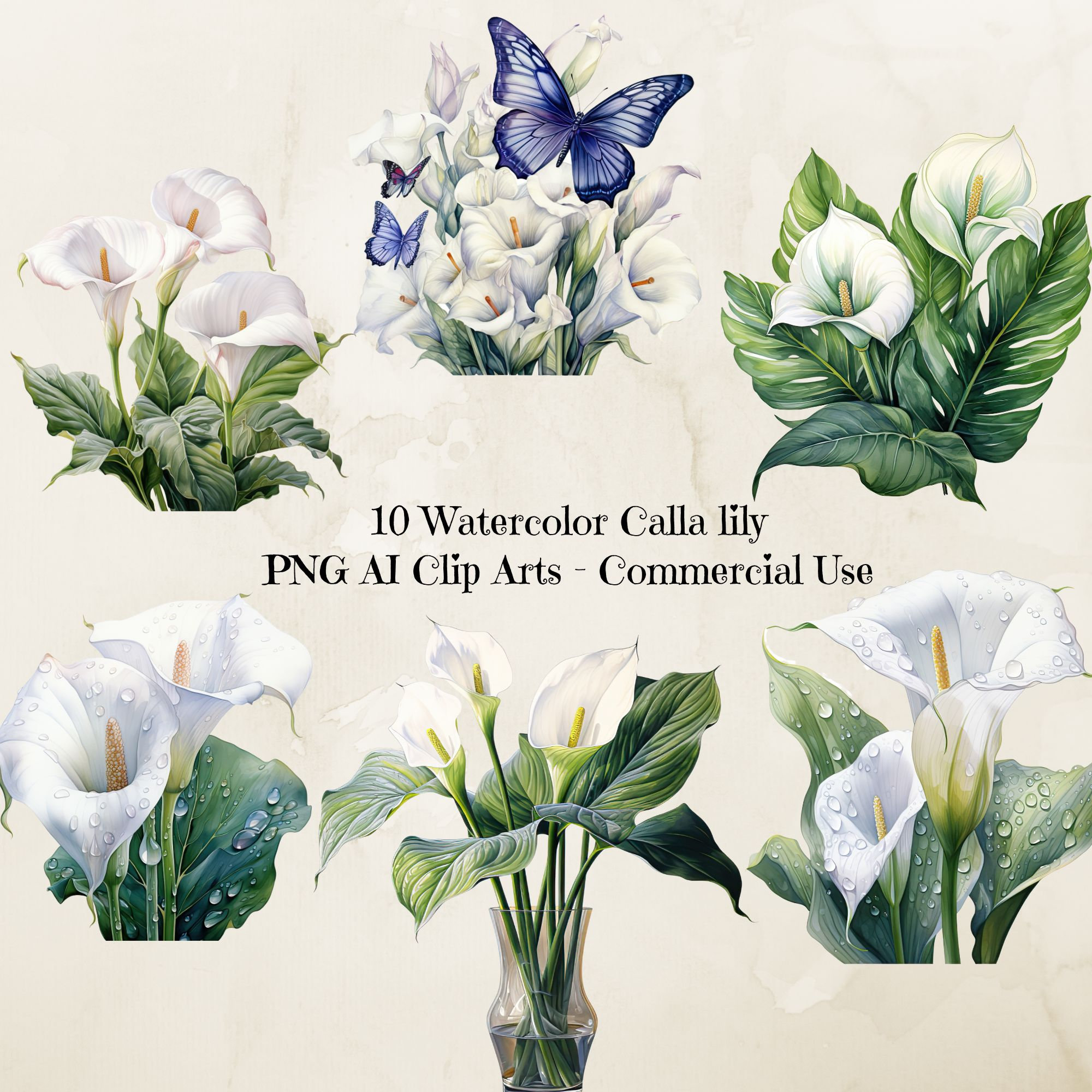 Watercolor Calla Lilly Cliparts, Calla Lilies Clipart, Calla Lily Png ...
