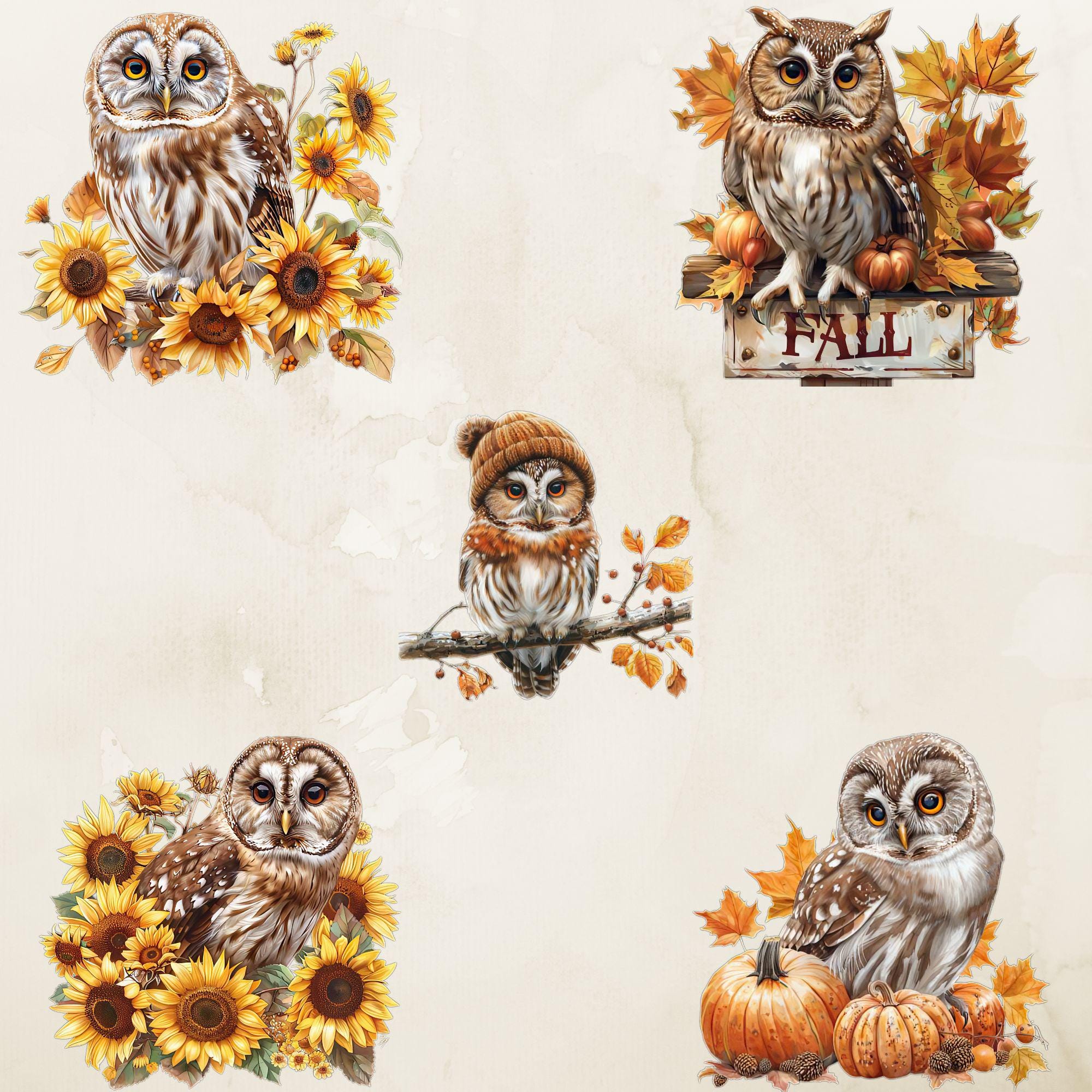 Autumn Owl Clipart, Autumn Cute Owl Watercolor Clipart, Halloween Owl ...
