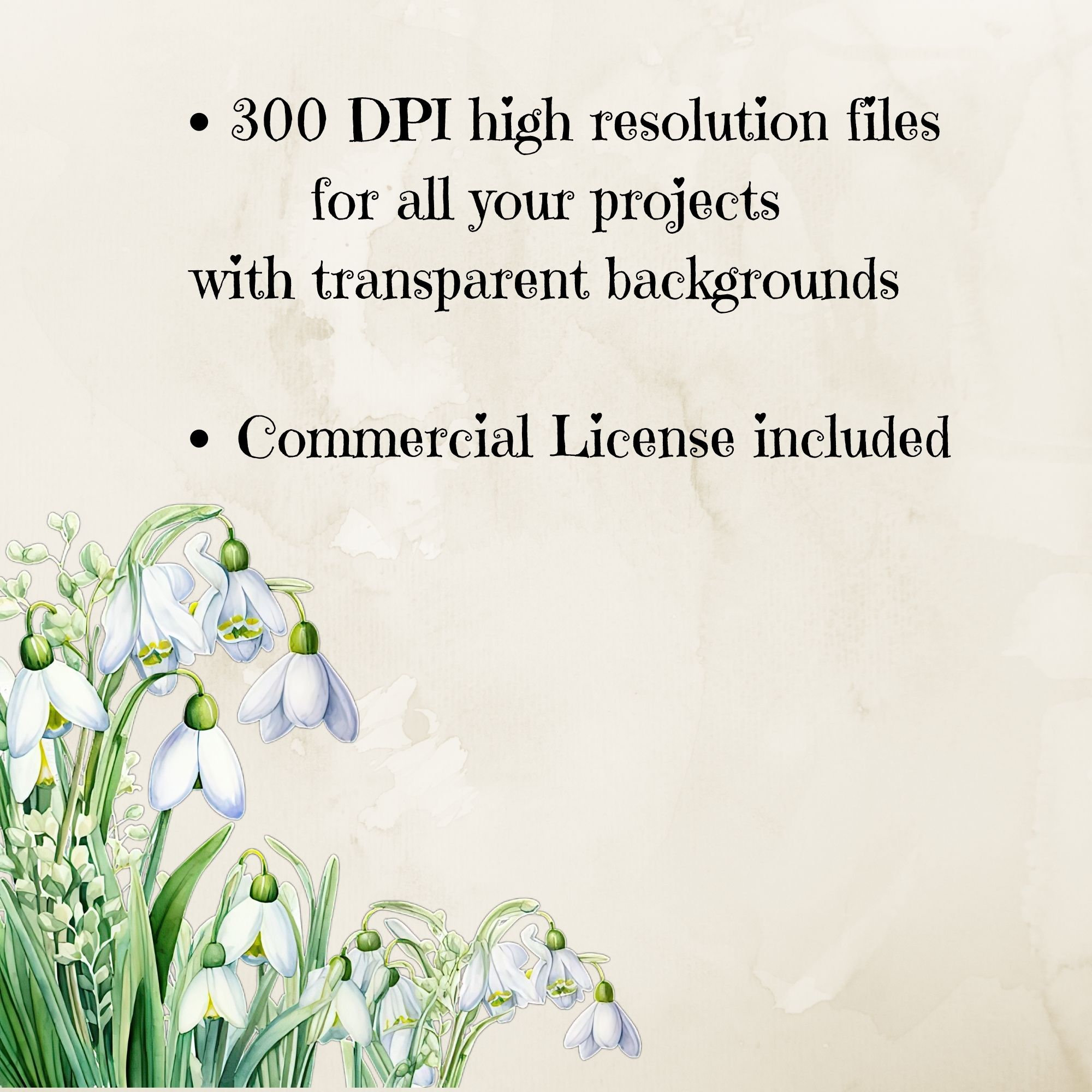 Snowdrop Flower Clipart, Watercolor Snowdrop Clipart, Snowdrop Flowers ...