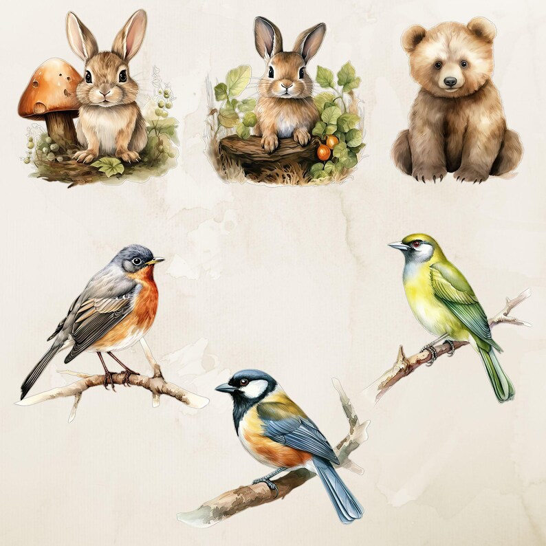 Woodland Creatures Clipart Pack, Fox Bear Deer Owl Bunny Raccoon ...