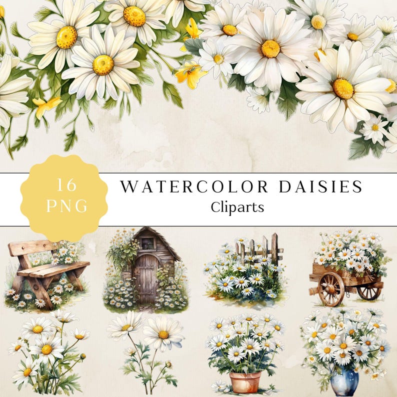 Watercolor Daisy Clipart, Spring Floral PNG (digital Download) - Etsy