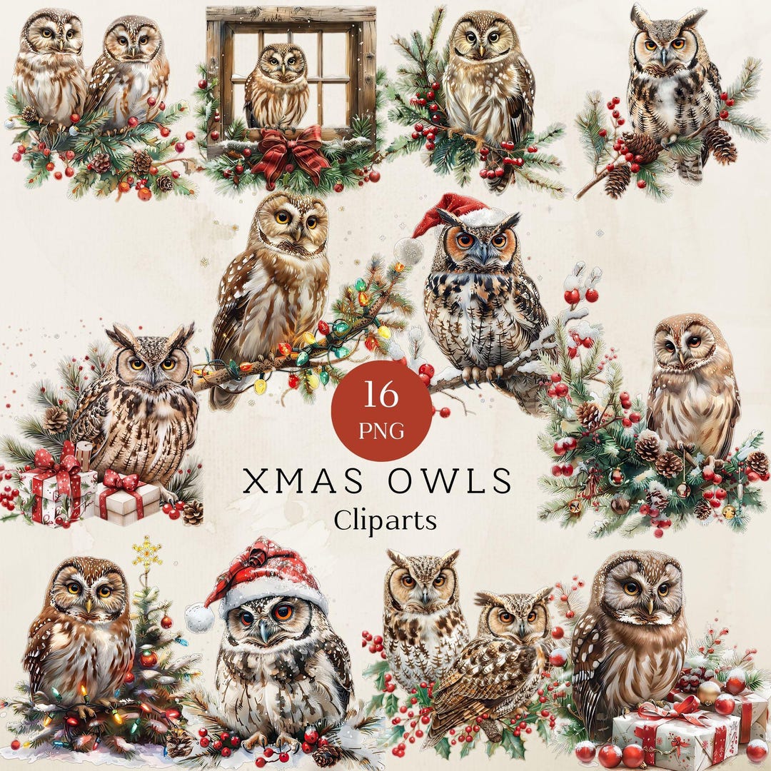 Christmas Owl Clipart, Cute Christmas Owl Clipart Bundle, Christmas Owl ...