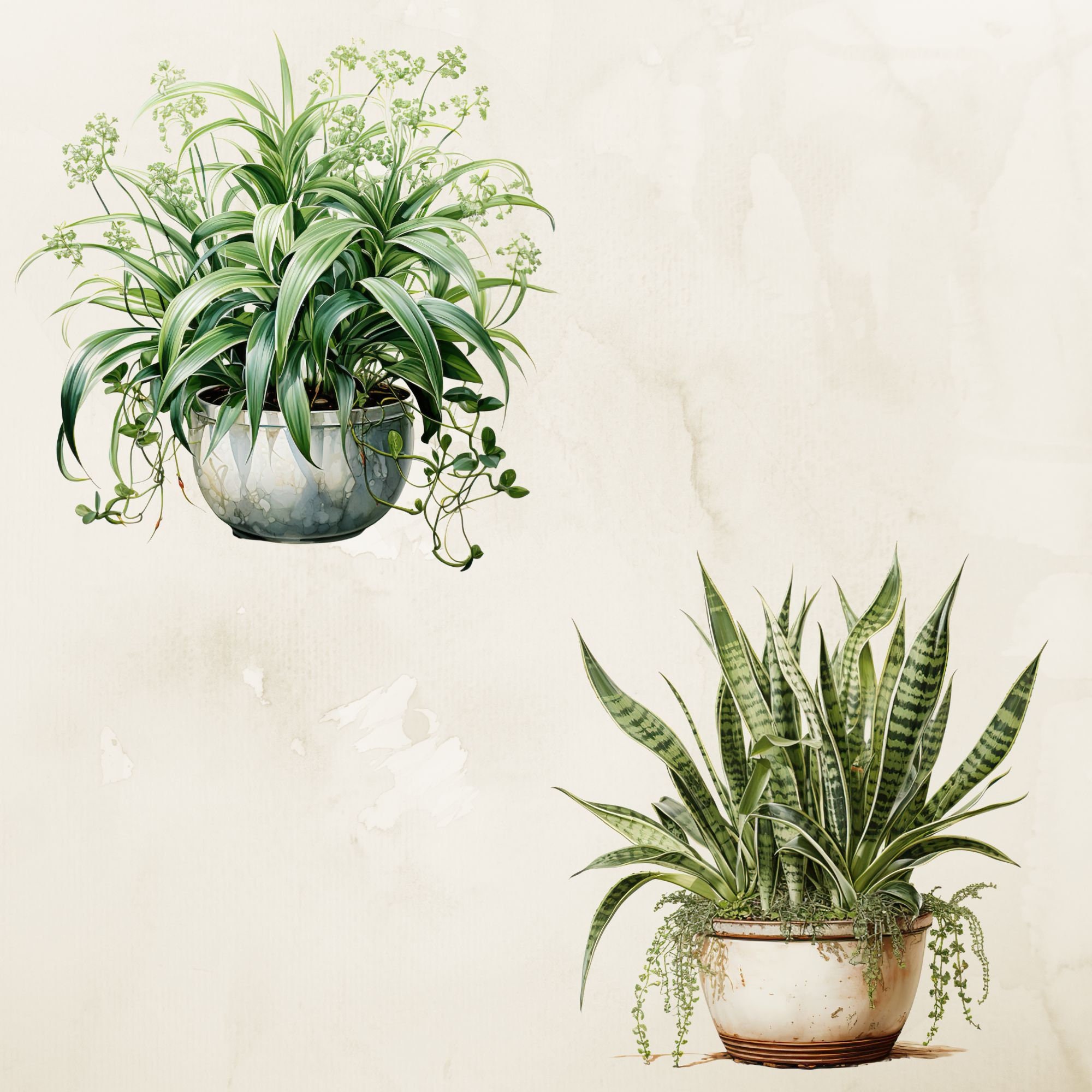 Potted Plants Watercolor Clipart, Potted Plant Clipart, Indoor Potted ...