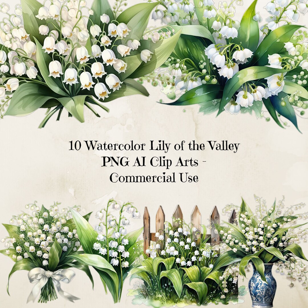 Watercolor Lily of the Valley Png Clipart, Spring Flowers Clipart ...