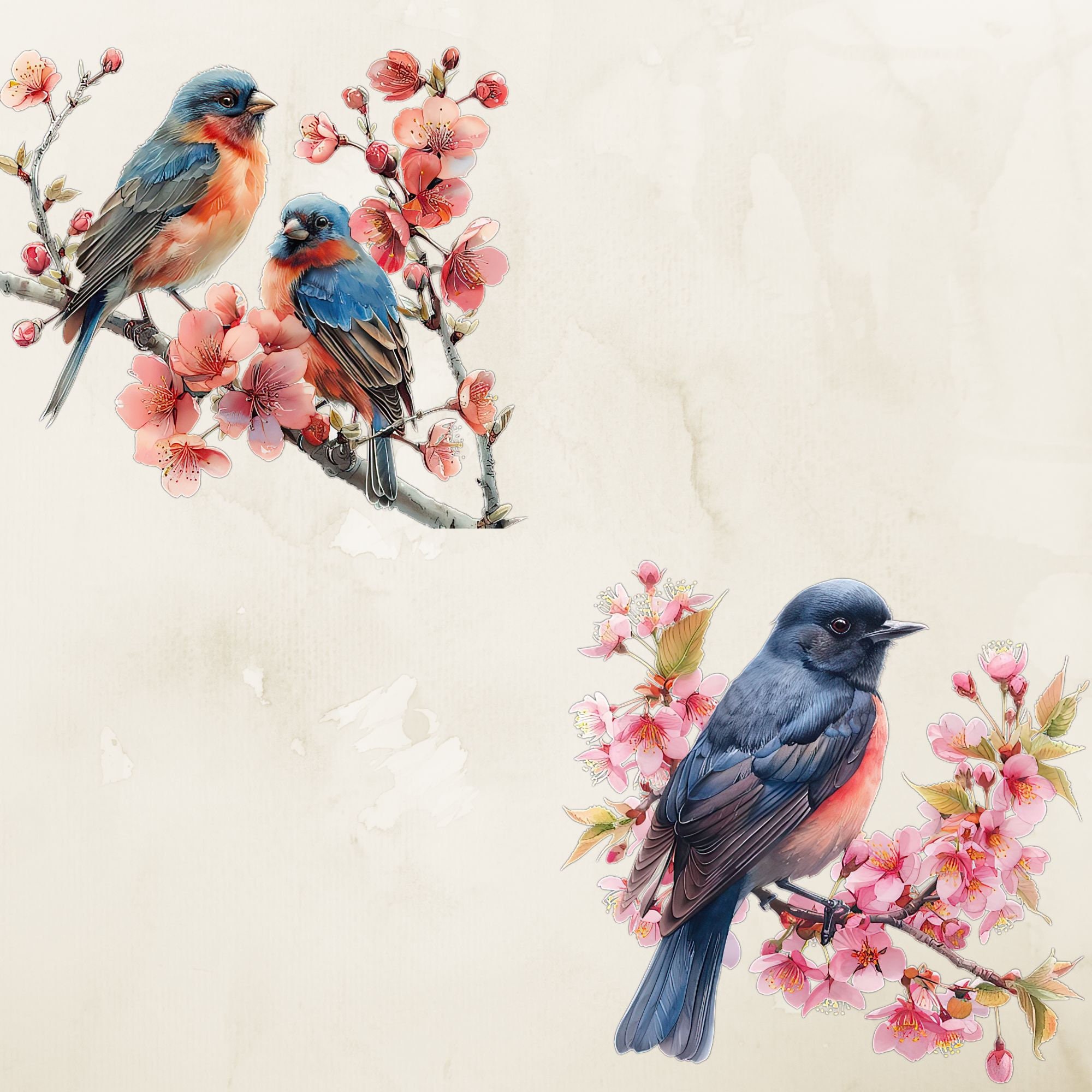 Birds and Cherry Blossoms Clipart, Birds and Blossoms Junk Journal Set ...