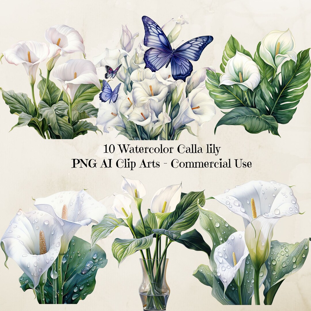 Watercolor Calla Lilly Cliparts, Calla Lilies Clipart, Calla Lily Png ...