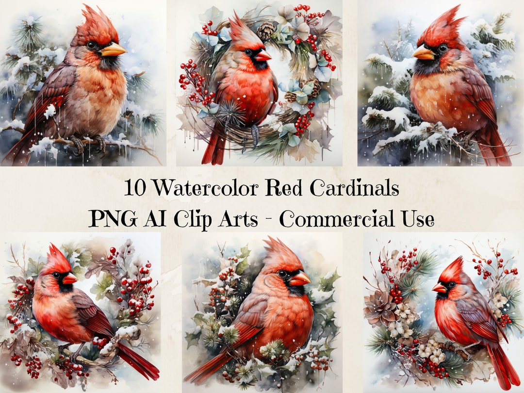Watercolor Red Cardinal Png Clipart, Christmas Red Cardinal Watercolor ...