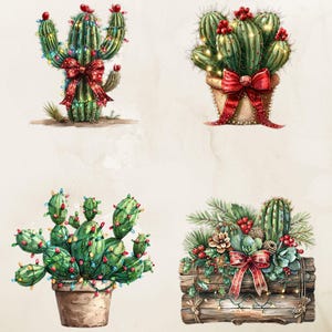 Christmas Cactus Clipart, Christmas Succulents Plants, Christmas Cactus ...