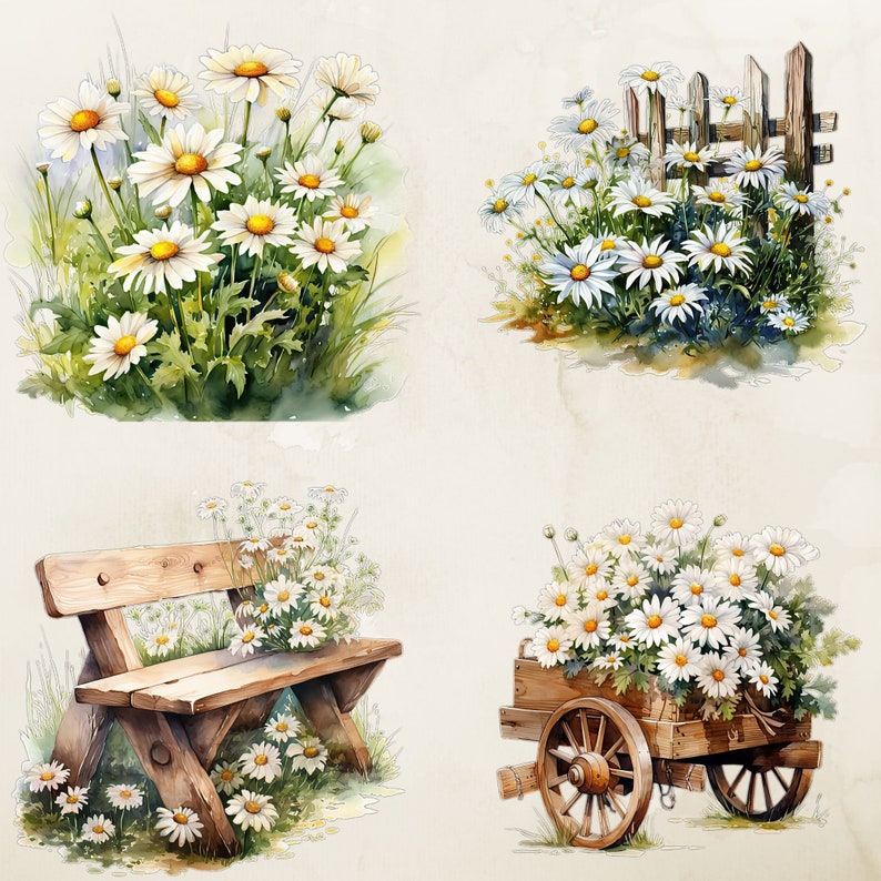 Watercolor Daisy Clipart, Spring Floral PNG (digital Download) - Etsy